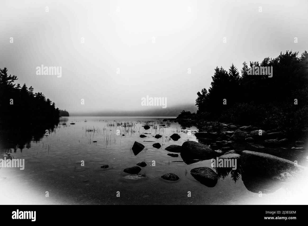 Object inspection Black and White Stock Photos & Images - Alamy