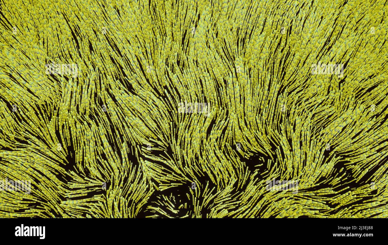 Moving 3d algae. Design. Beautiful wavy movements of algae lines ...