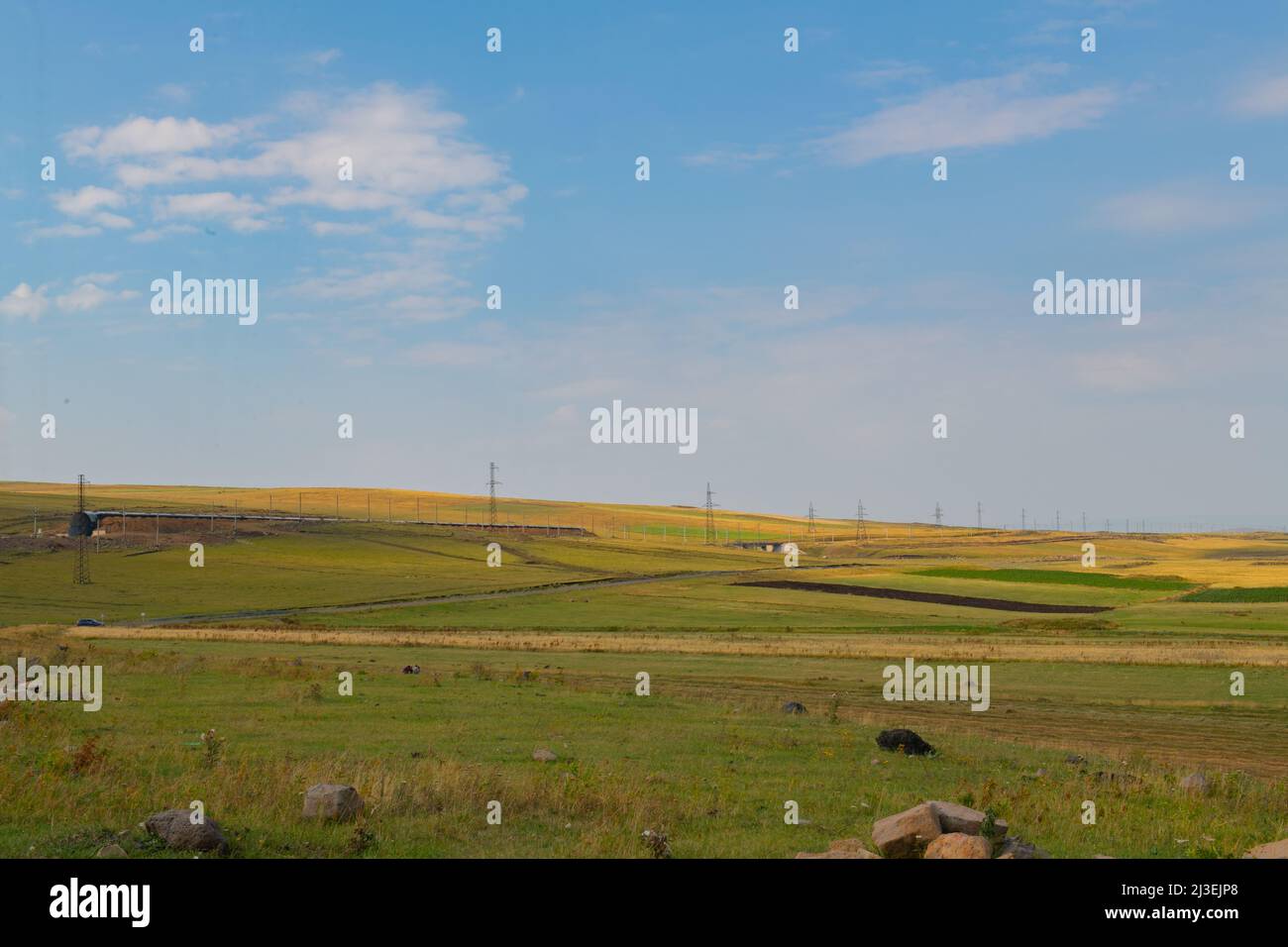 View of green fields and street hi-res stock photography and images - Alamy