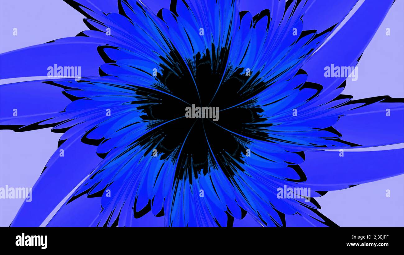 Rotating Flower pattern. Design. Bright floral pattern rotates on ...