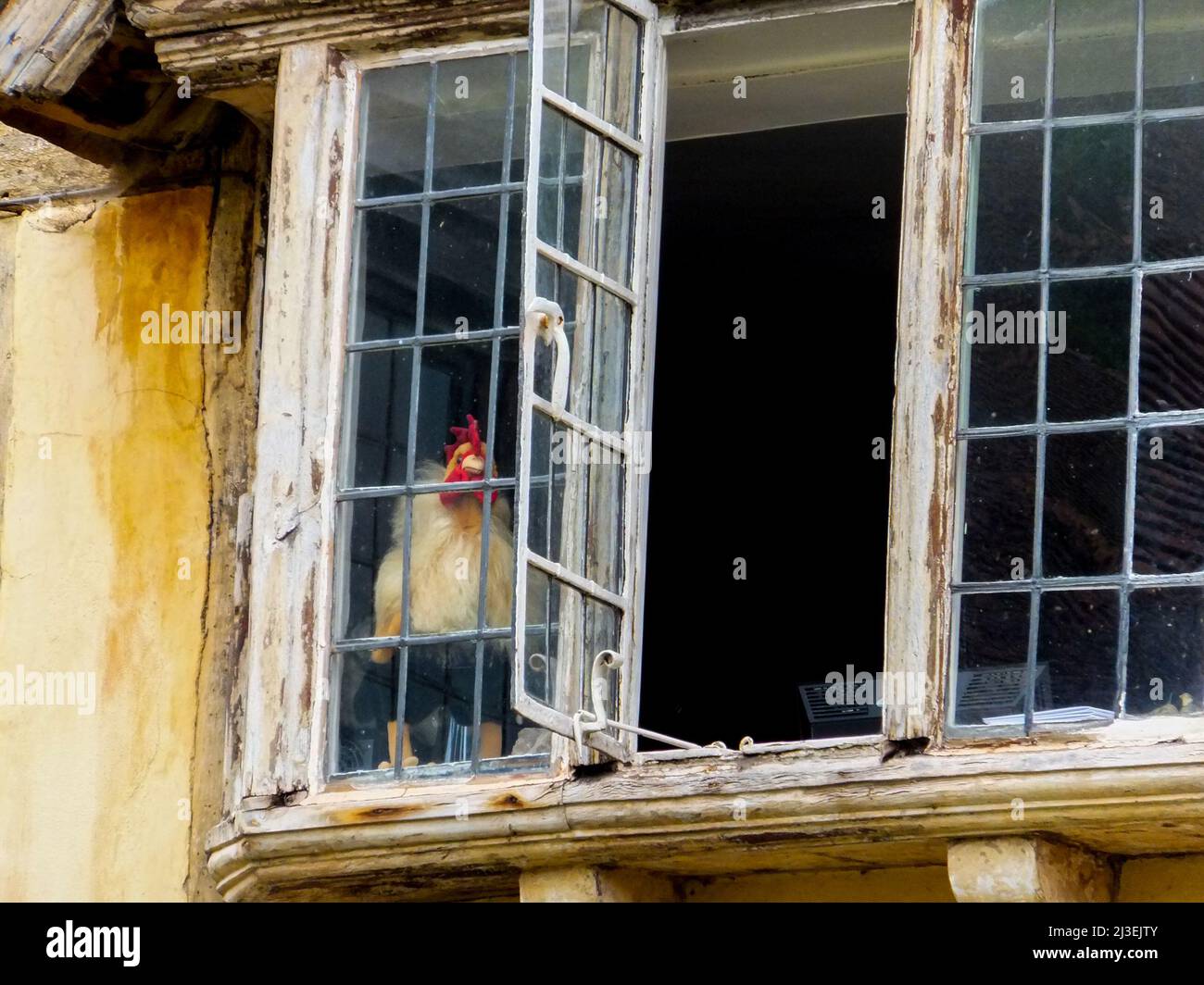 A stuffed toy chicken stands near an open window of an old building in ...