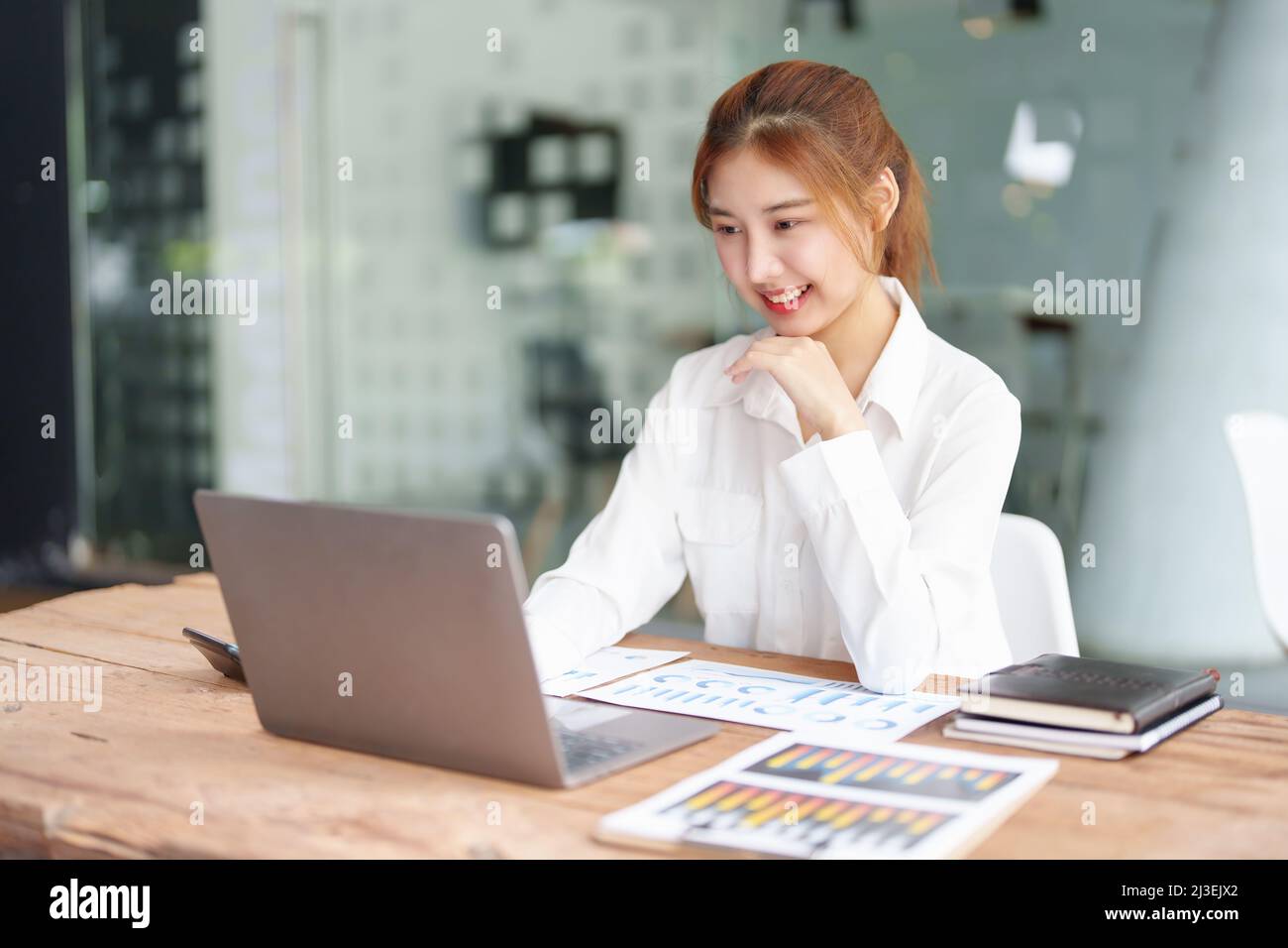 data analysis, plan, marketing, accounting, audit, Portrait of asian ...