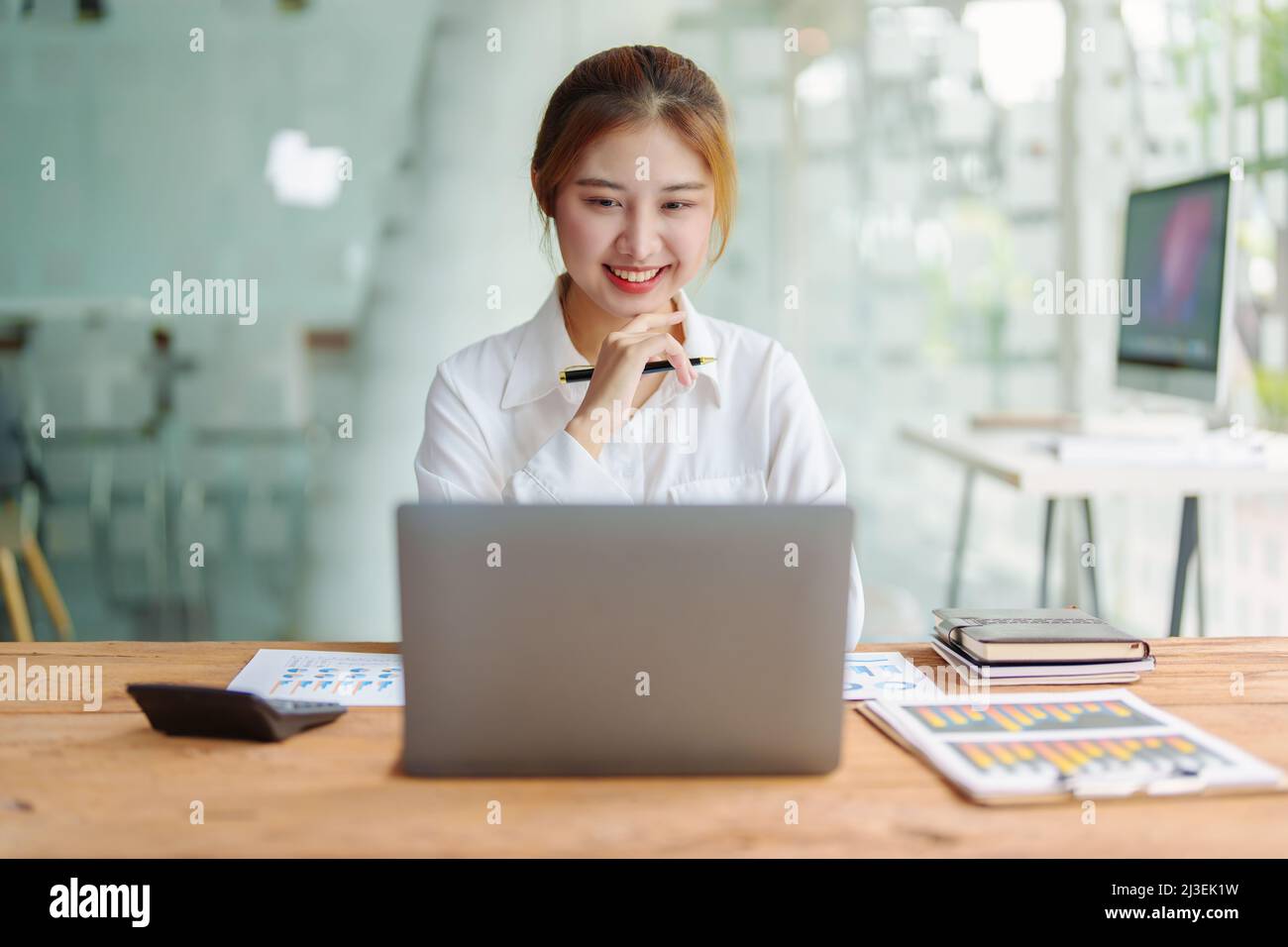 data analysis, plan, marketing, accounting, audit, Portrait of asian ...