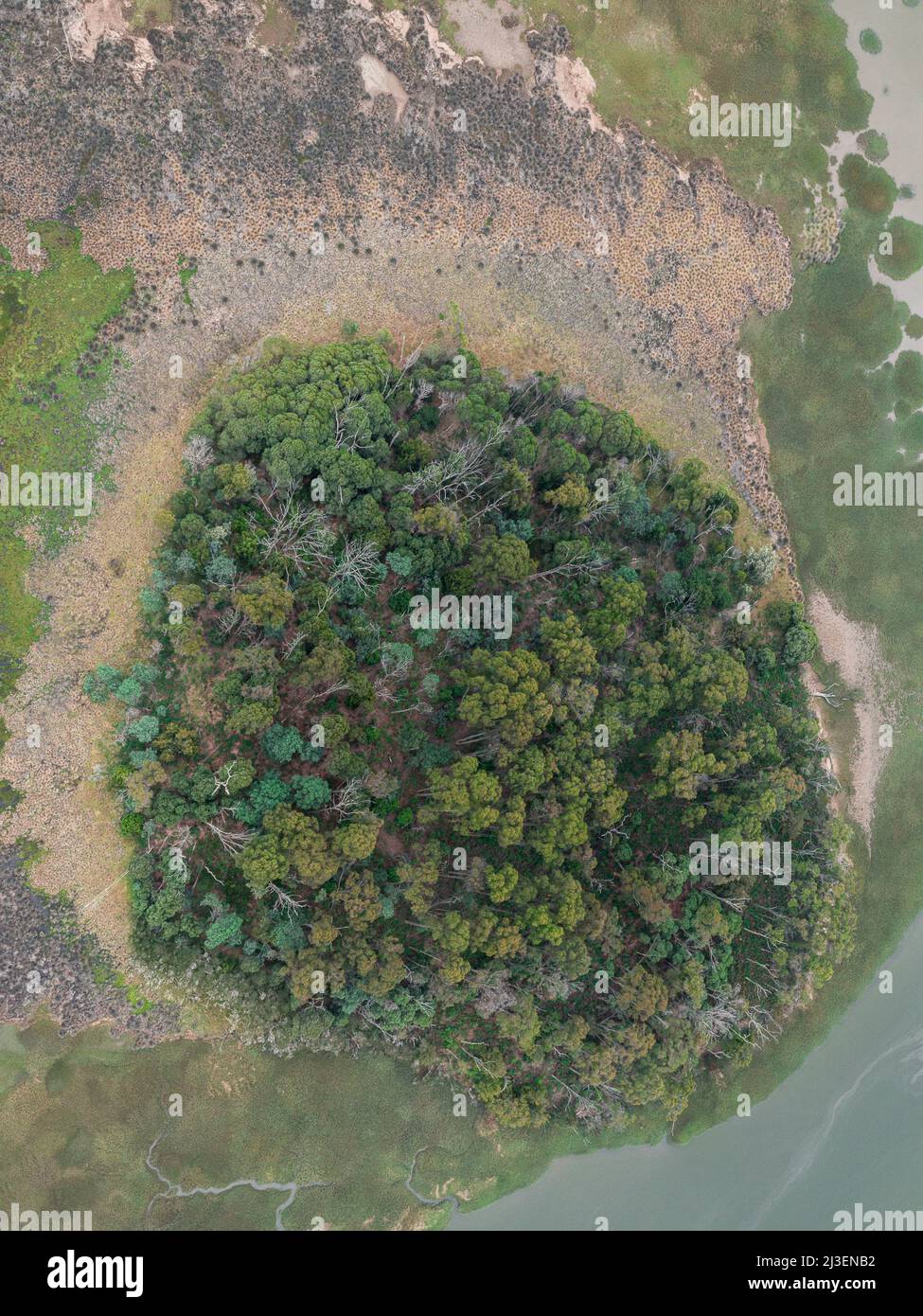 Autum trees from above Stock Photo - Alamy