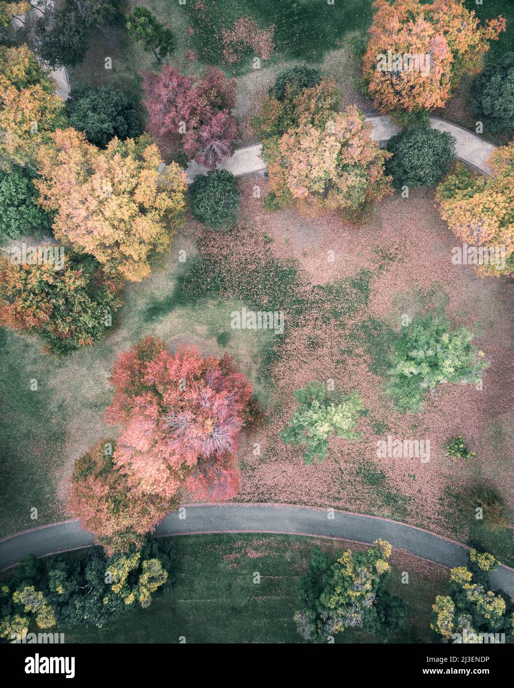 Autumn tree colors hi-res stock photography and images - Alamy