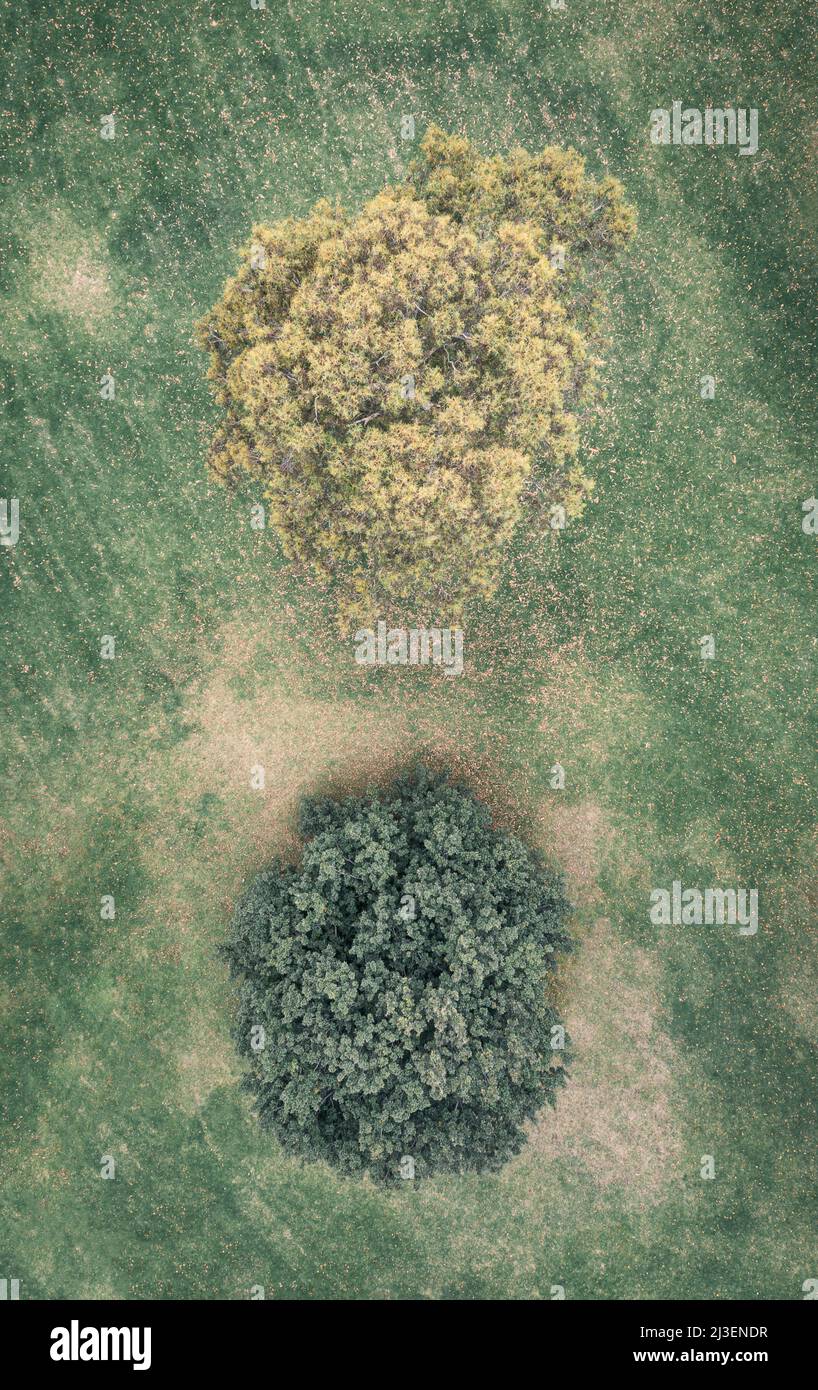 Other view hi-res stock photography and images - Alamy