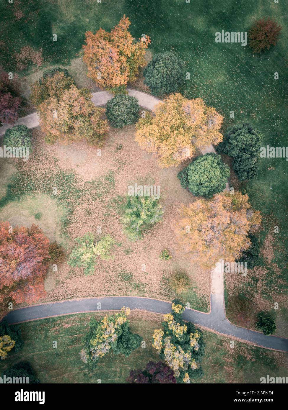 Autumn tree colors Stock Photo - Alamy