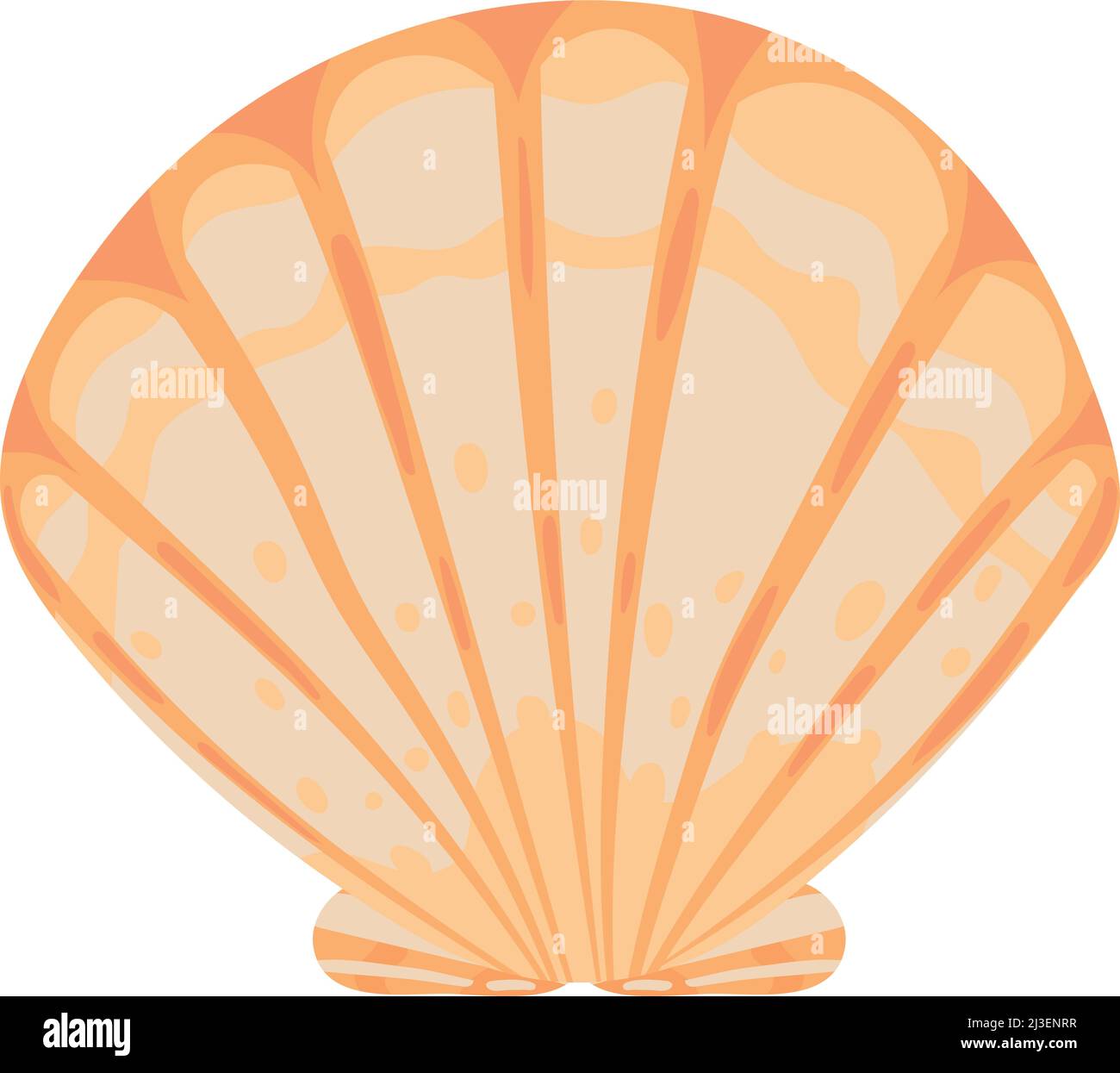 sea shell icon Stock Vector Image & Art - Alamy