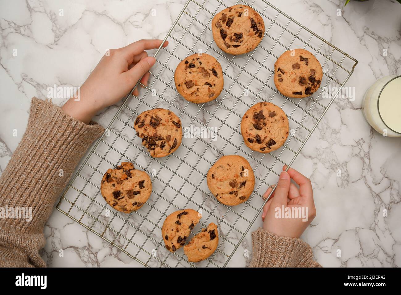 Top view, Female holding a tray of freshly baked chocolate chip cookies ...
