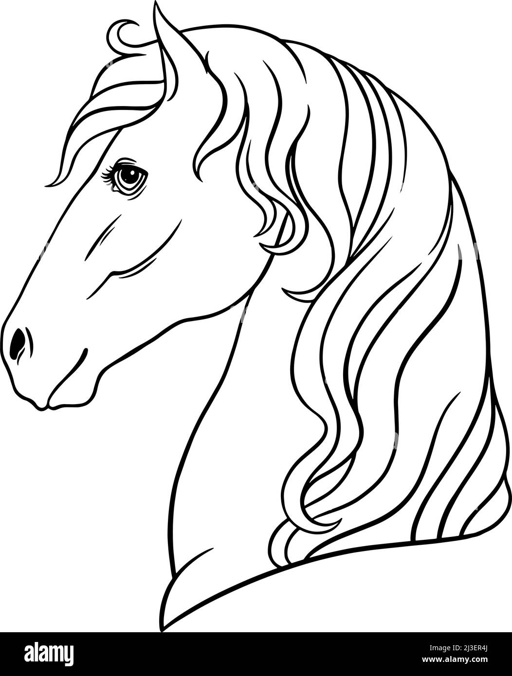 Horse Head Coloring