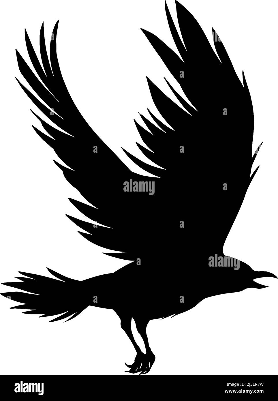 Flying Crow Art