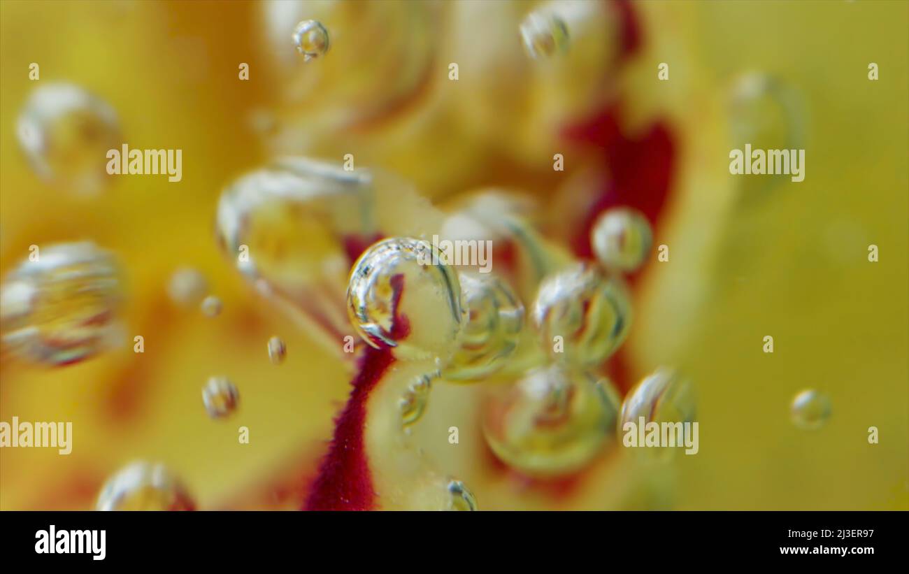 Bubbling water bulbs hi-res stock photography and images - Alamy