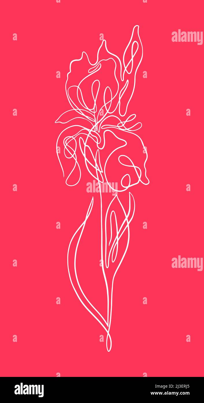 iris one line art. vector illustration Stock Vector Image & Art - Alamy