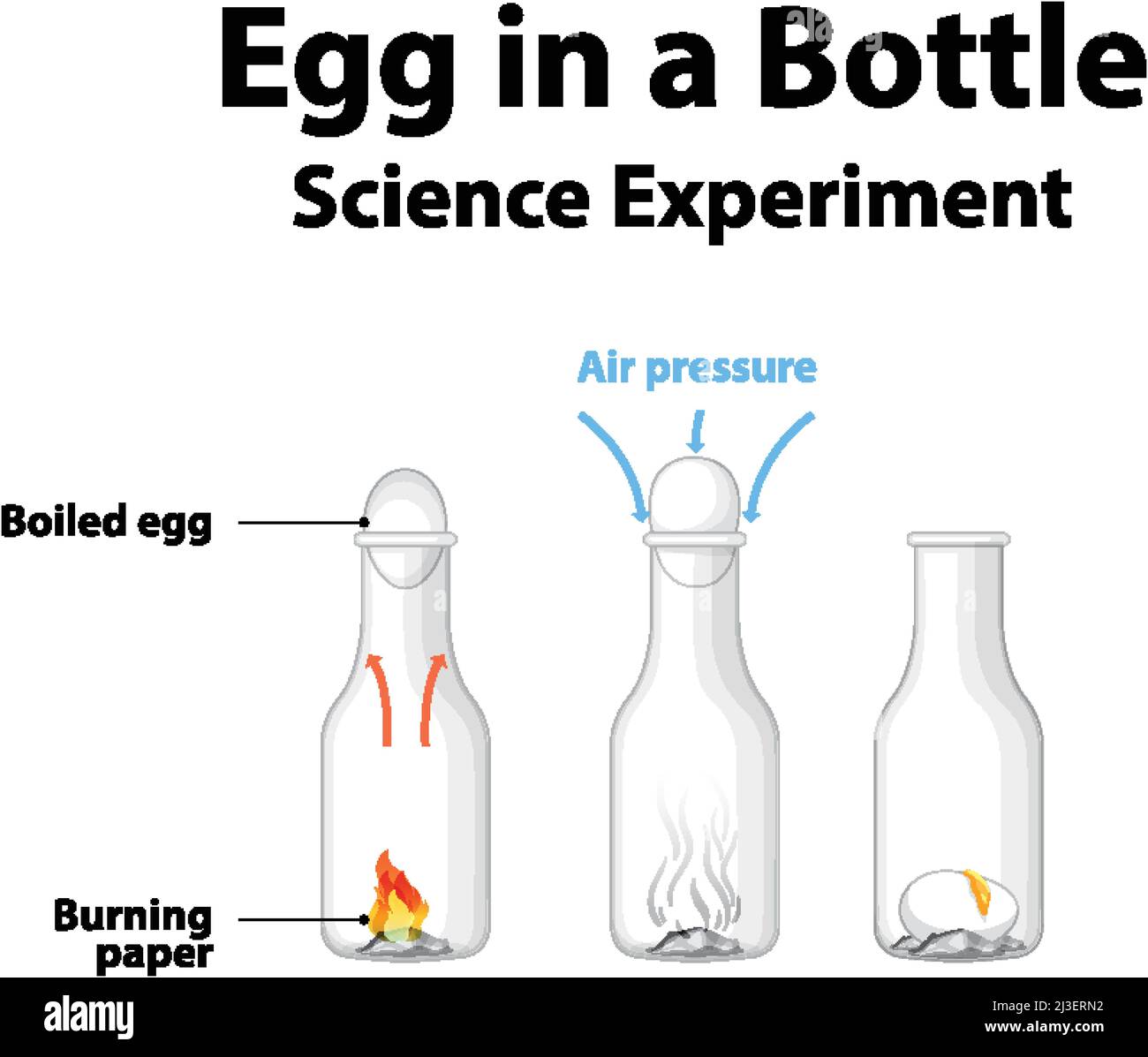 Egg In A Bottle