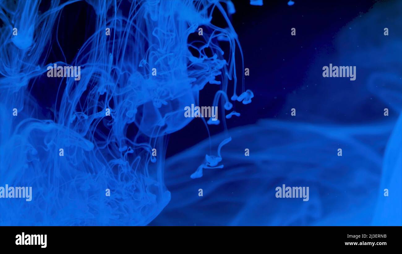 Beautiful ink underwater on black background. Stock footage. Bright ...