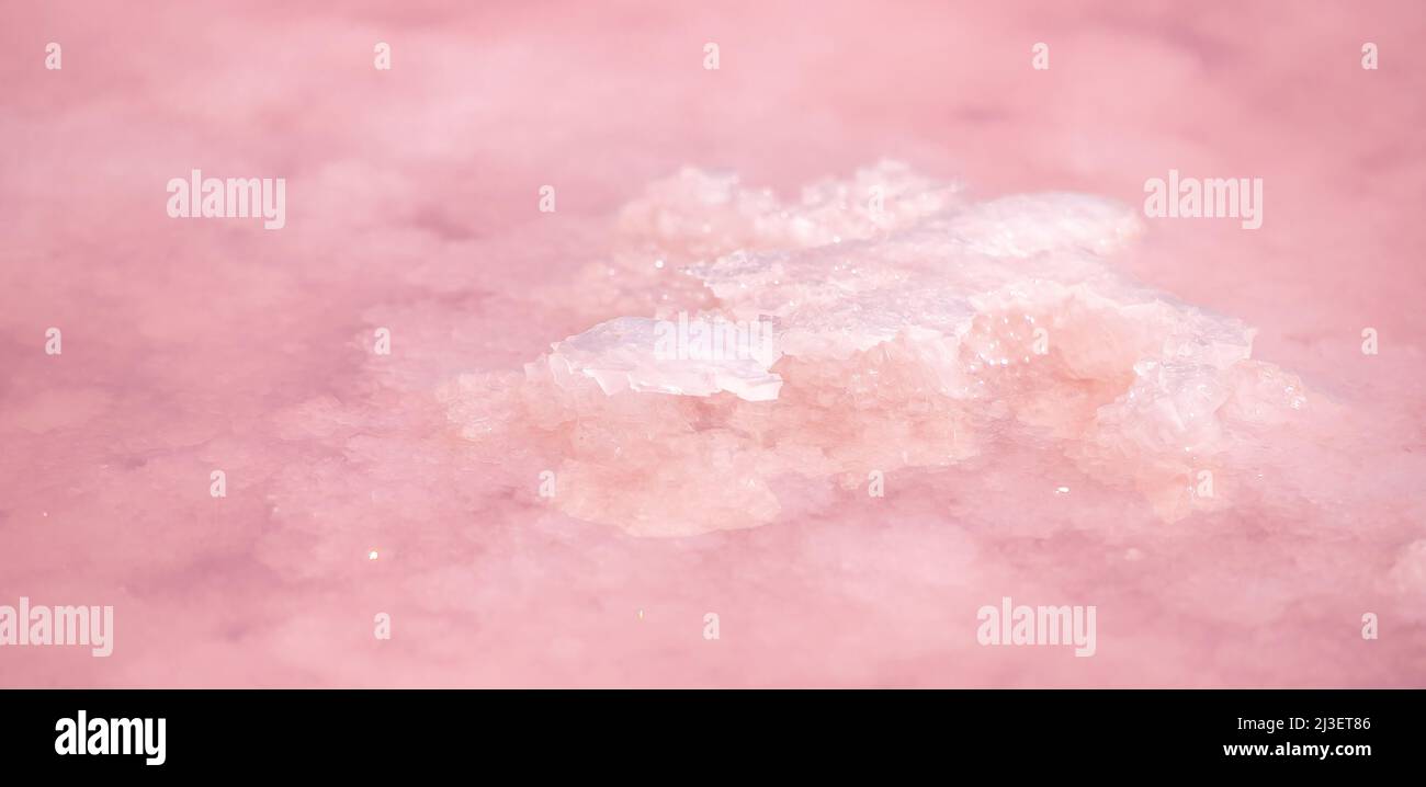 Pink salt cristales. Natural pink salt lake texture. Salt mining ...