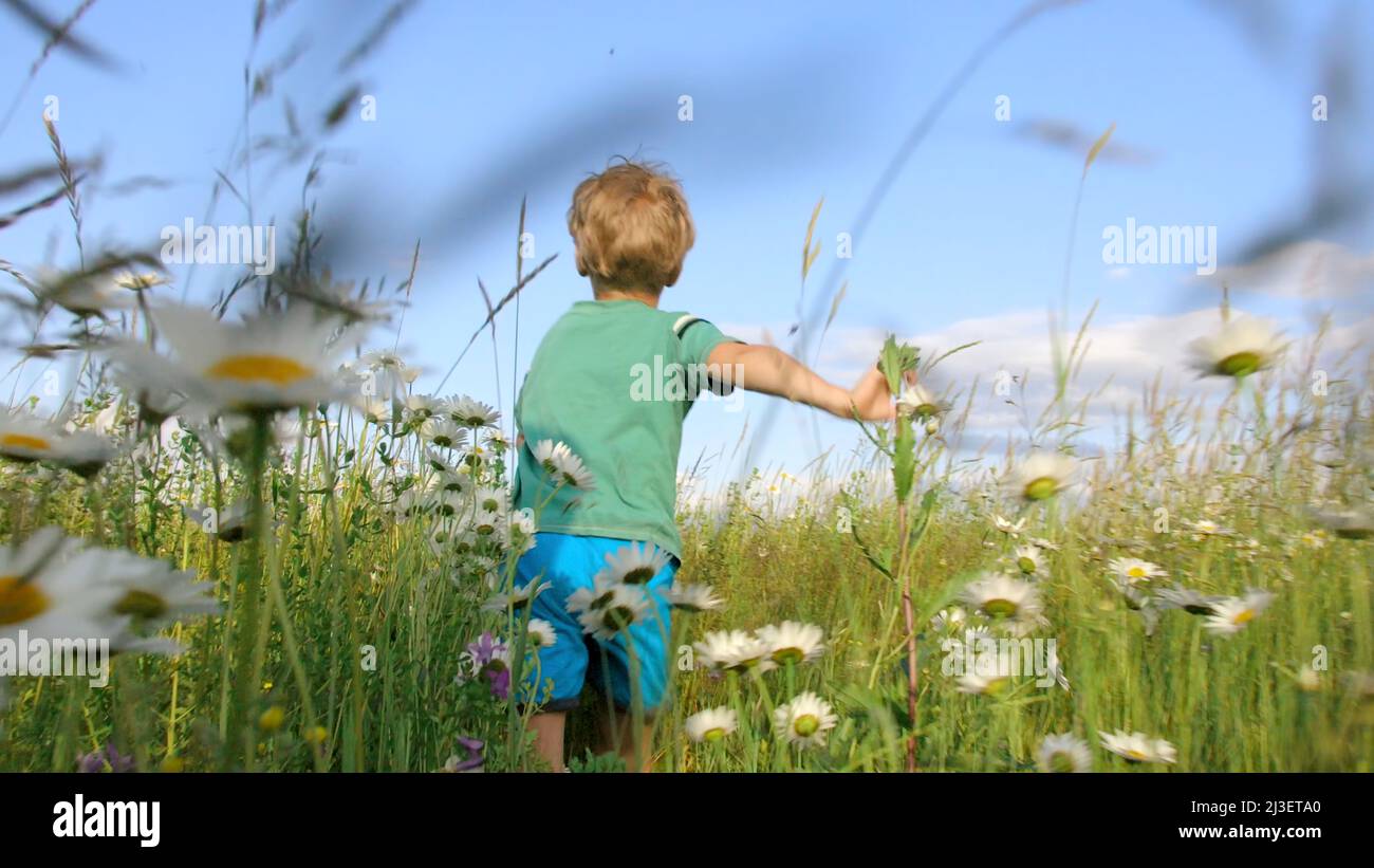 Rear view of boy running in field. Creative. Cinematic running child in ...