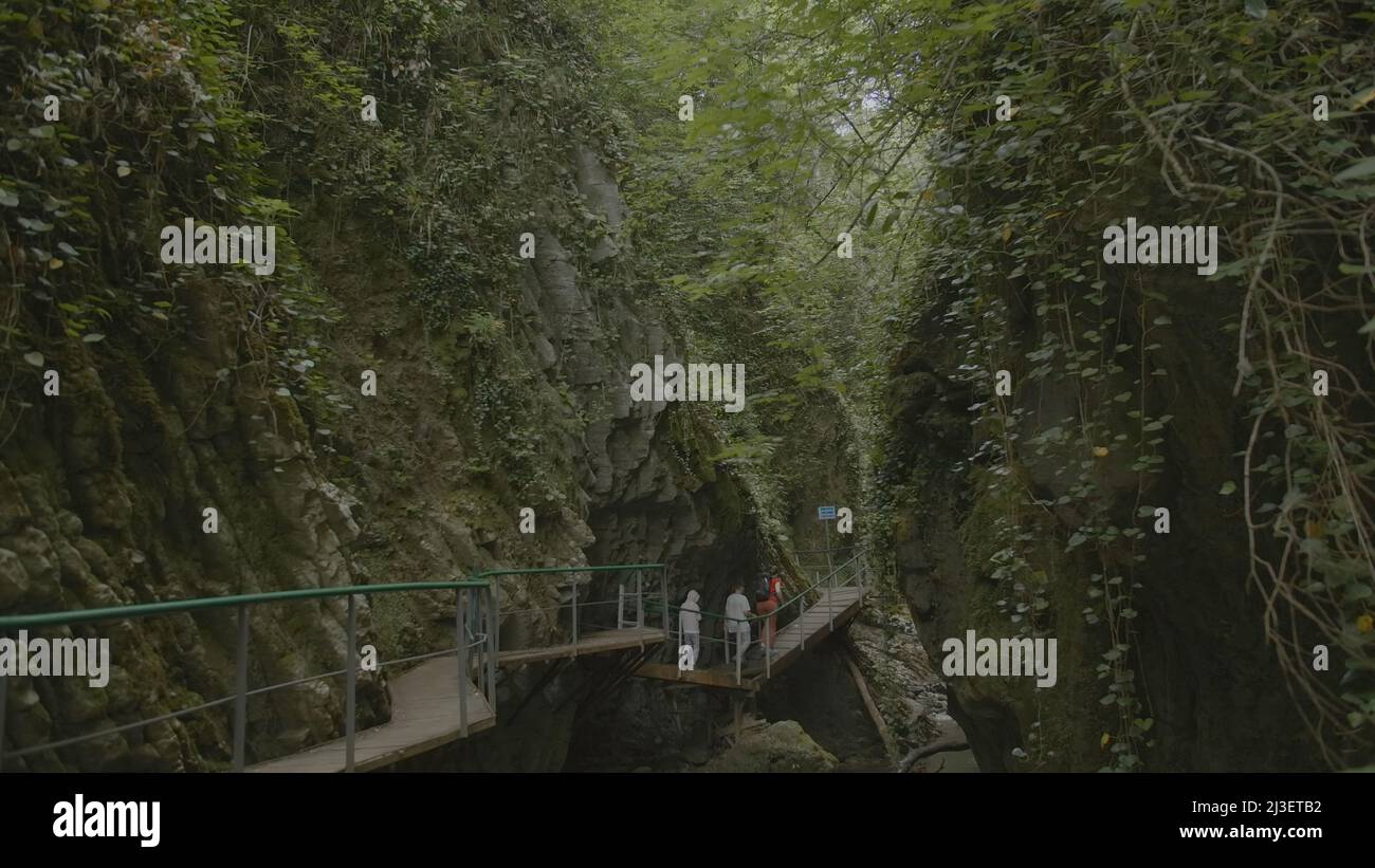 Hiking trail in rocky jungle. Creative. Hikers walk across bridge at ...