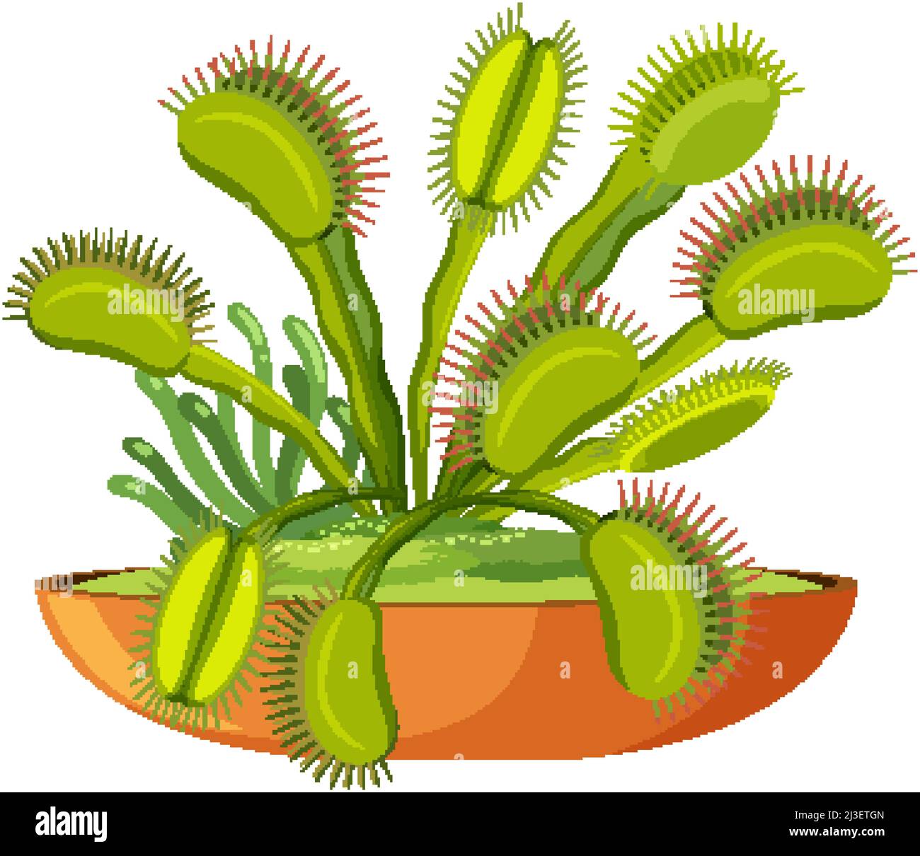 Venus flytrap Stock Vector Images - Alamy