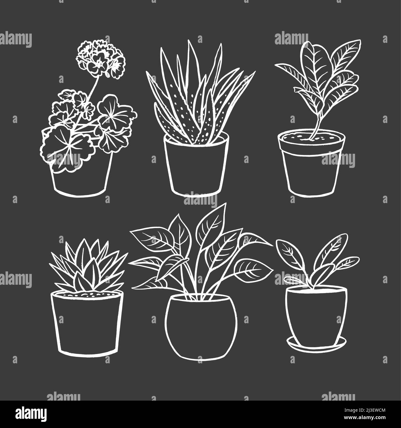 Plants hanging pots Stock Vector Images - Alamy