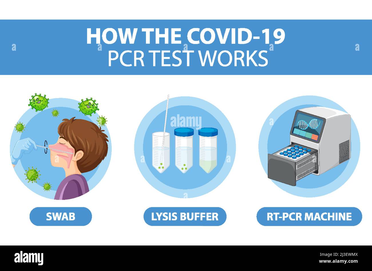 Covid swab diagram Cut Out Stock Images & Pictures - Alamy