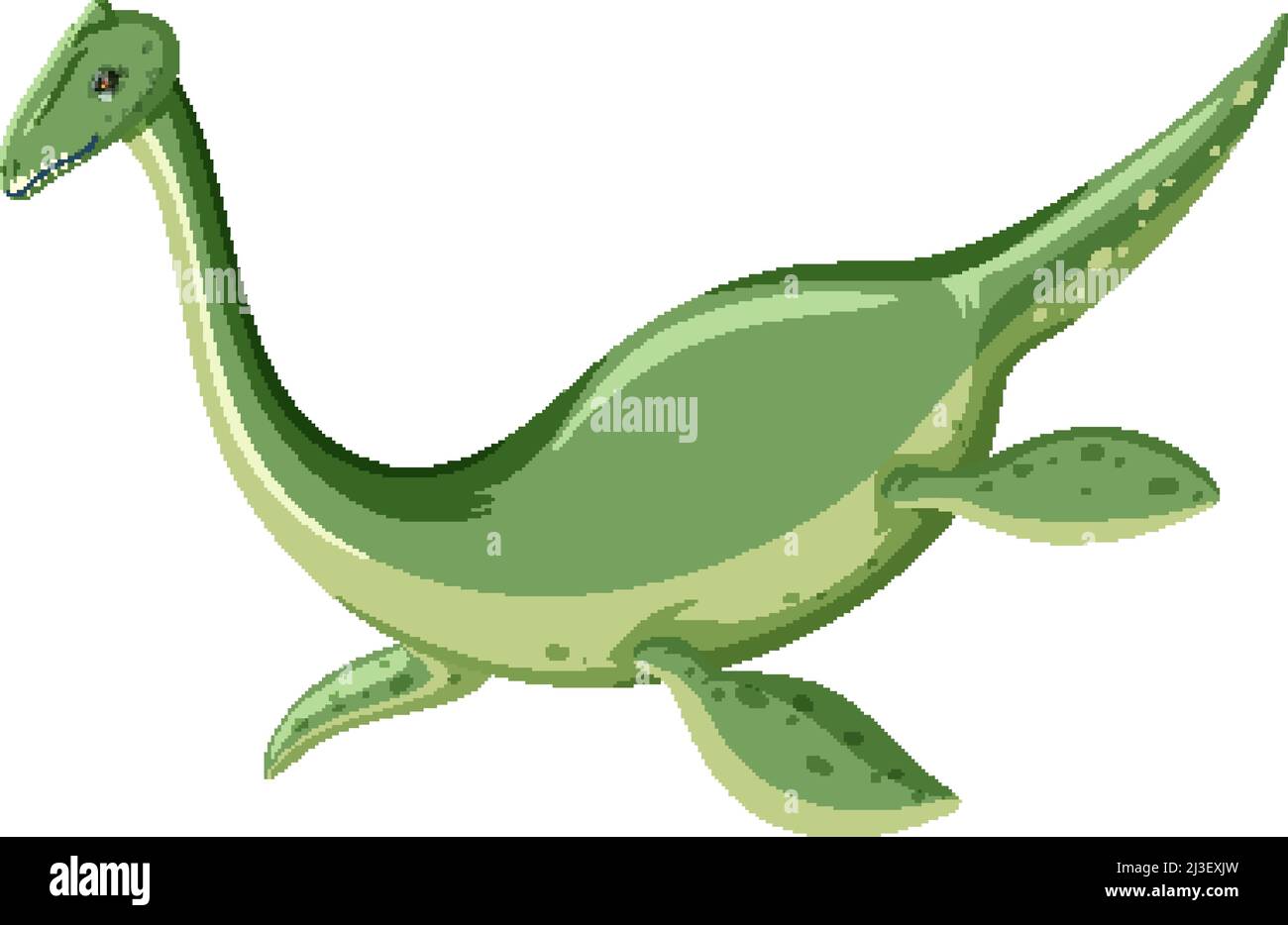 A dinosaur plesiosaurus on white background illustration Stock Vector ...
