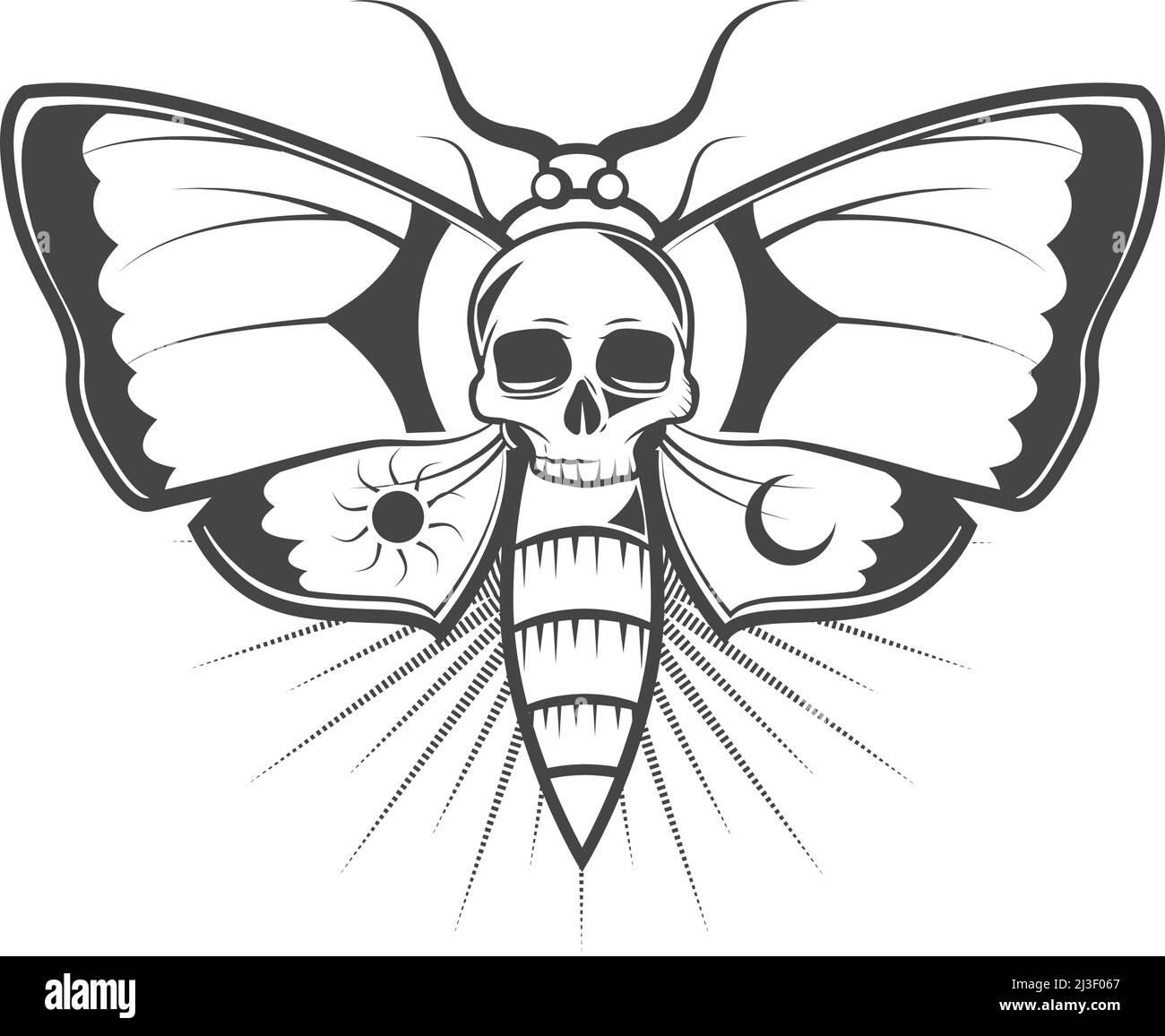 Skull With Butterfly Wings Drawing