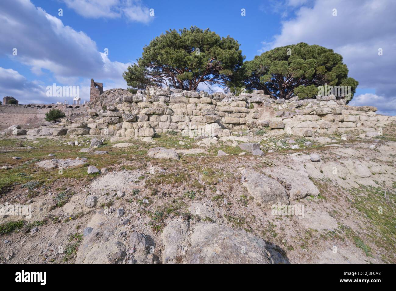 Trees grow on the foundation of the famous Altar of Zeus. The altar ...