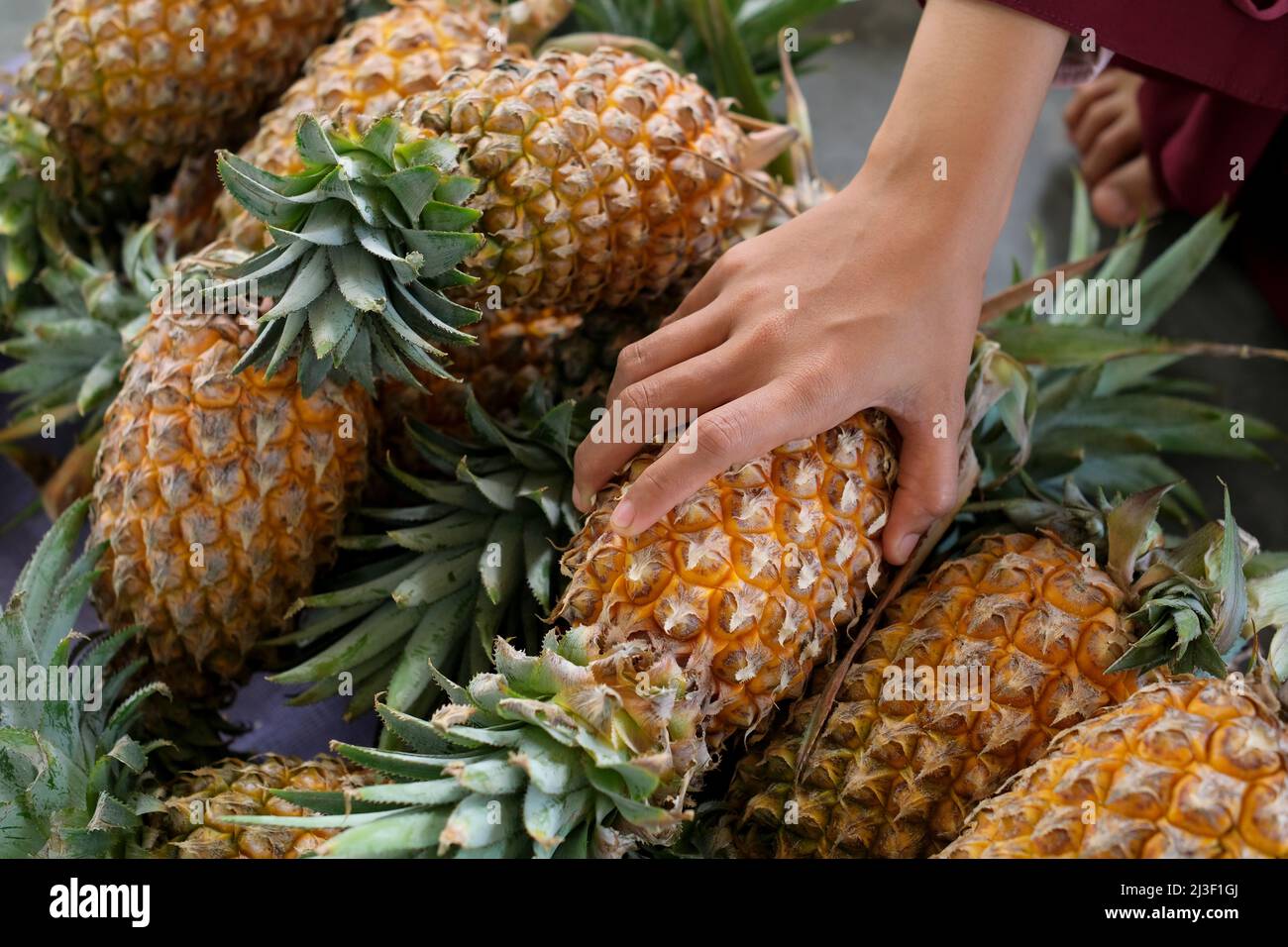 Women choose fresh pineapple at the fruit market. pineapple in the woman's hand Stock Photo - Alamy