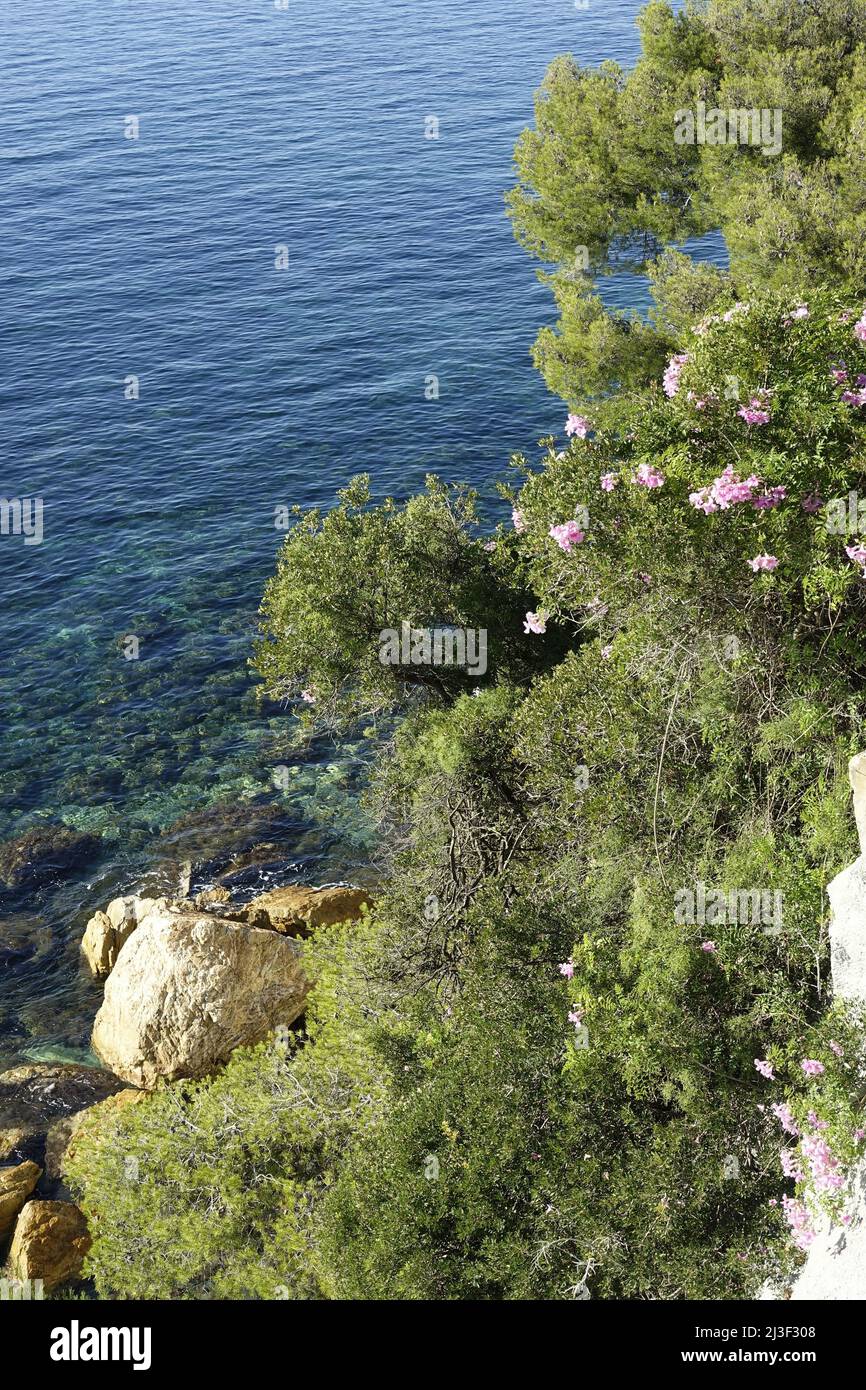 Cape Brun Toulon coastal path Stock Photo - Alamy