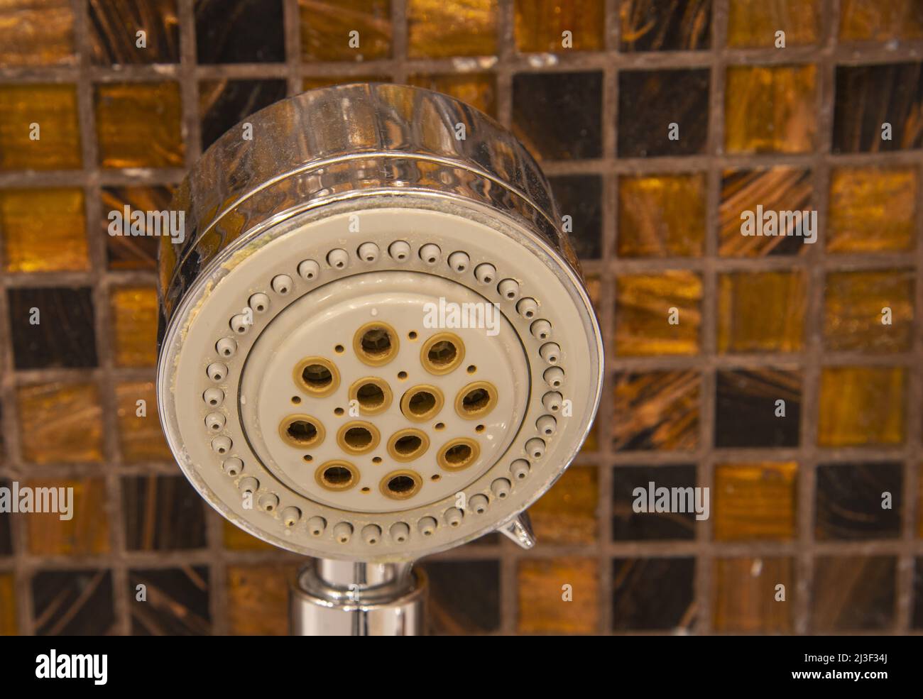 Shower watering can close-up on the background of tiles in the home ...