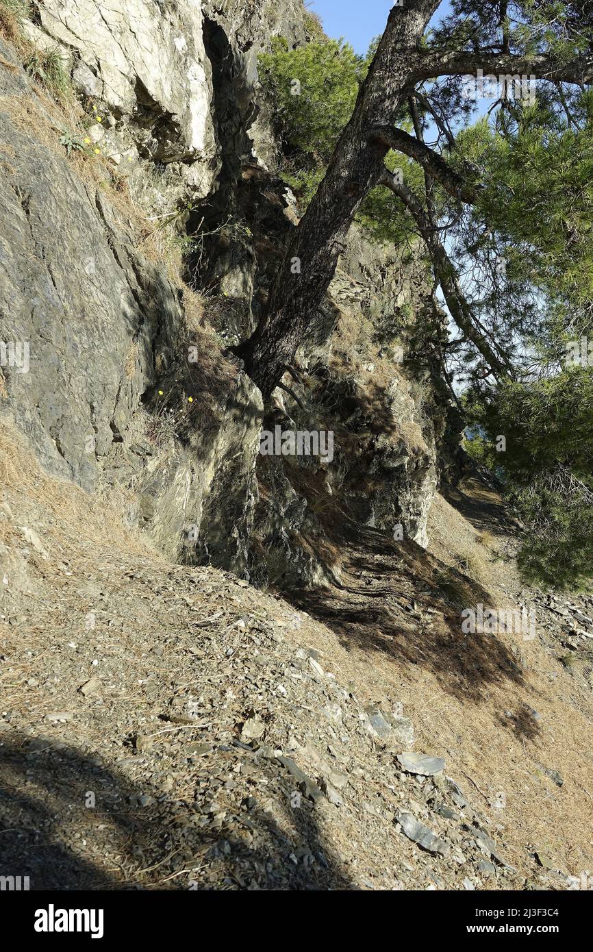 Dangerous path hi-res stock photography and images - Alamy