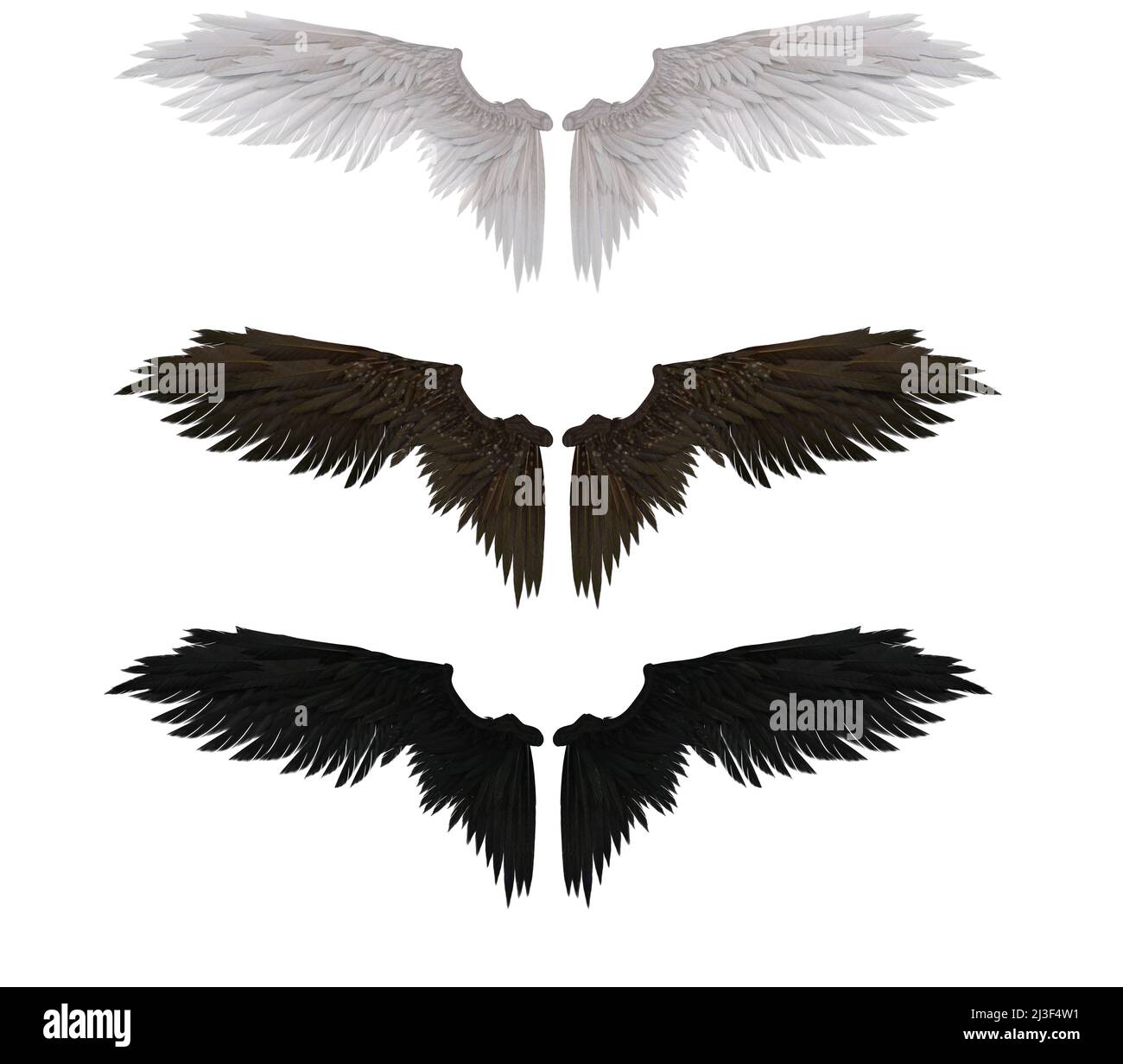 3D Render : Realistic isolated angel wings pair of falcon wings,wings ...