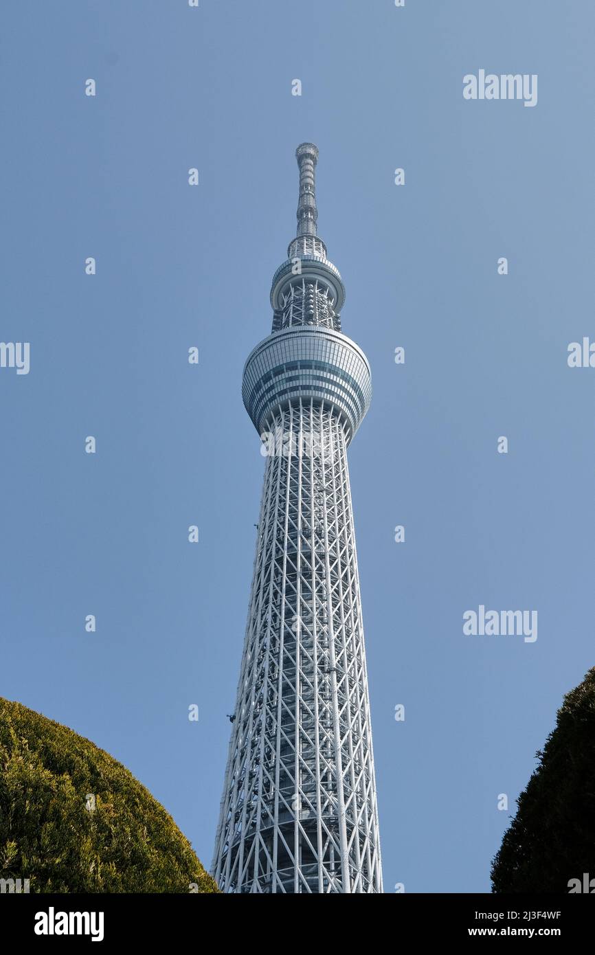 Tokyo Tower against a clear sky in Tokyo, Japan Stock Photo - Alamy