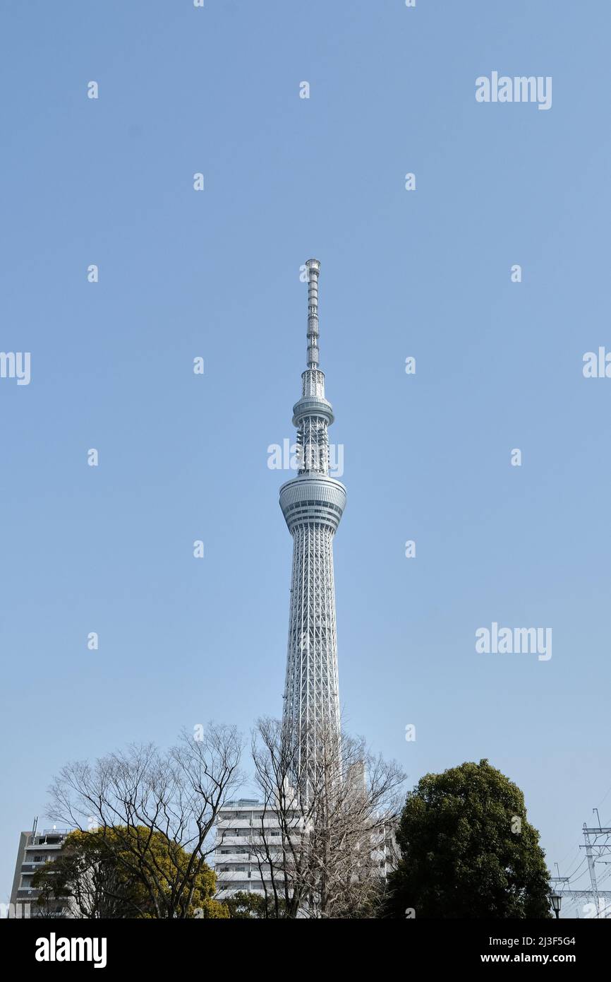 Tokyo Tower against a clear sky in Tokyo, Japan Stock Photo - Alamy