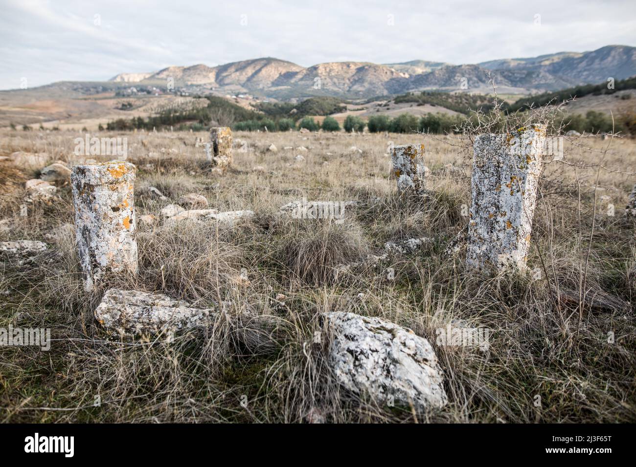 Muslim tom stones in an ancient abandoned cemetery Stock Photo - Alamy