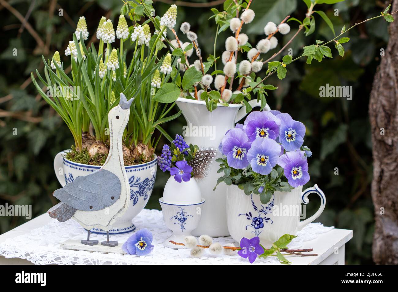 Goose willow hi-res stock photography and images - Alamy