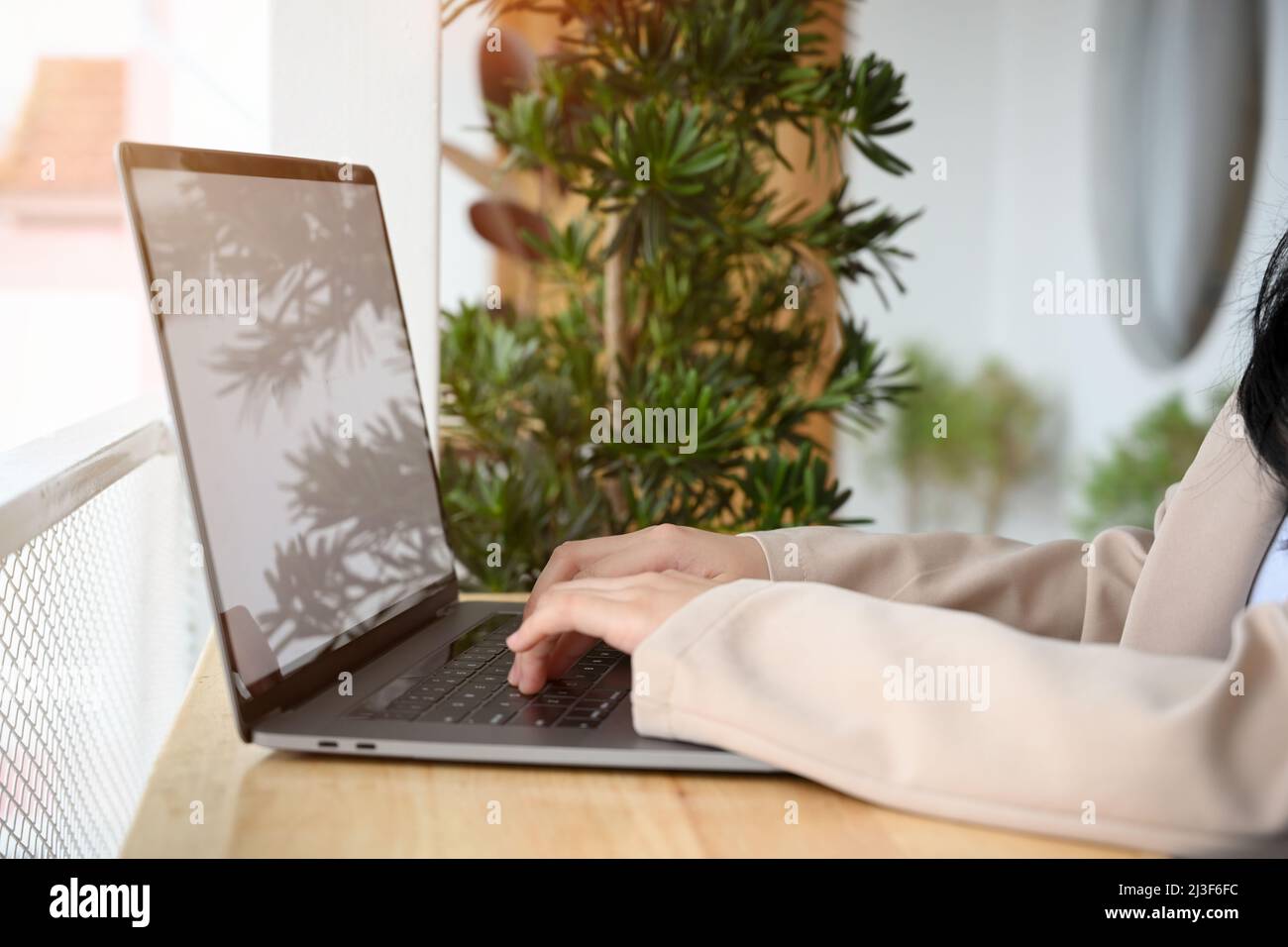 Rear view female hands typing hi-res stock photography and images - Alamy