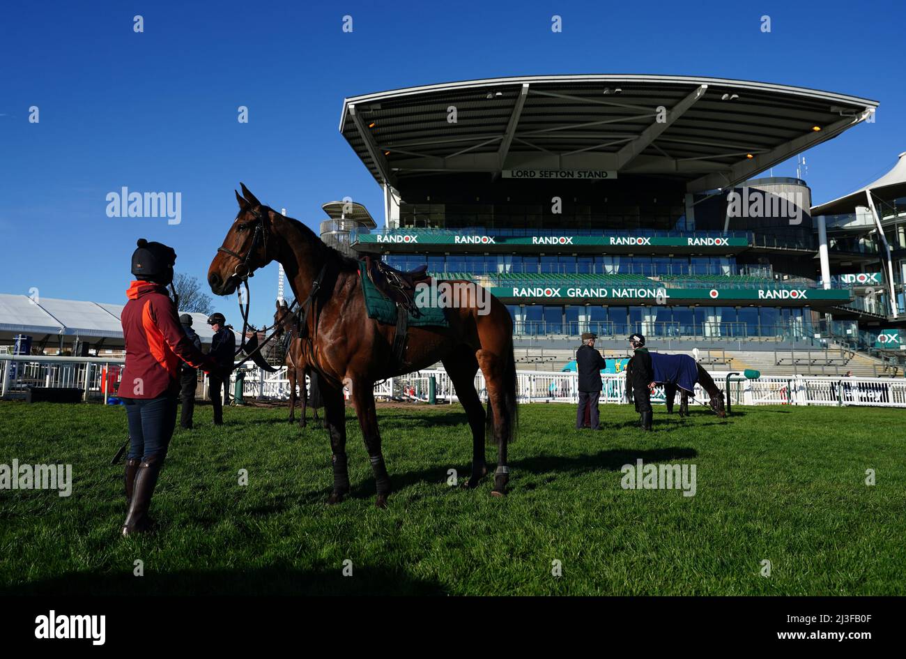 Any second now horse hi-res stock photography and images - Alamy