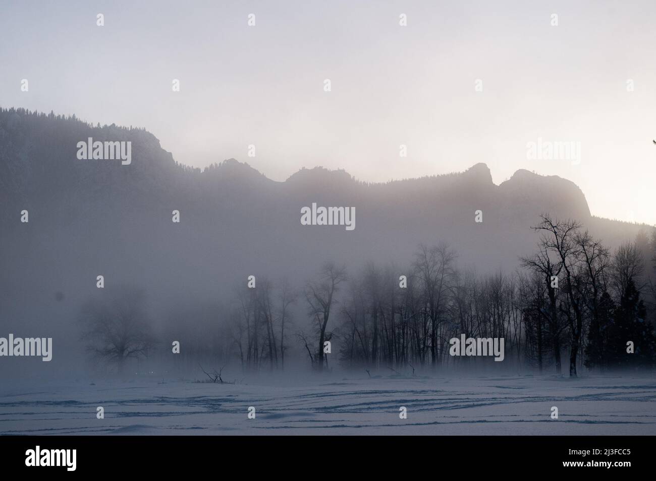 An eerie mist covers the floor of yosemite valley, while a thin layer ...