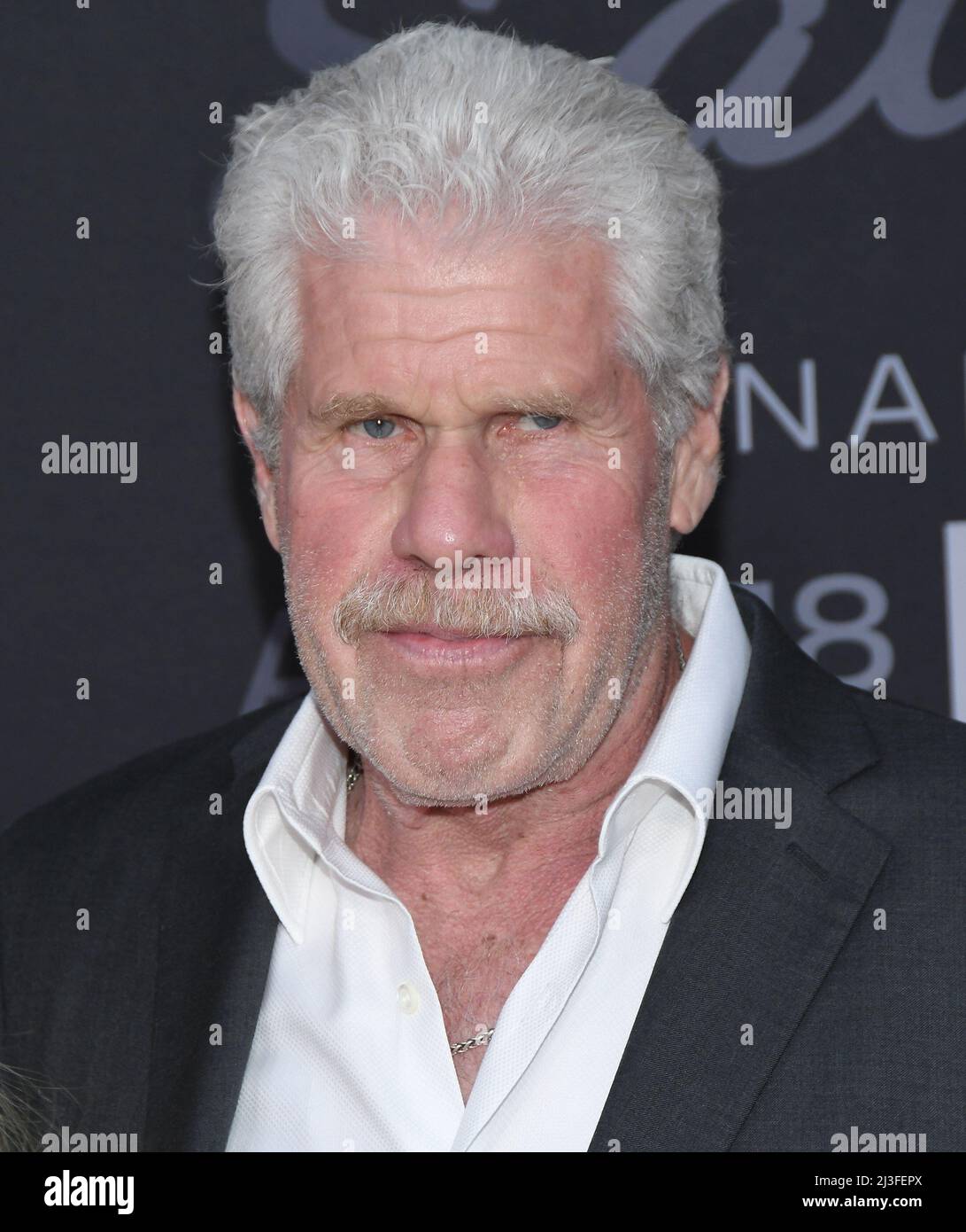 Ron Perlman at the Premiere of AMC's BETTER CALL SAUL Sixth and Final ...
