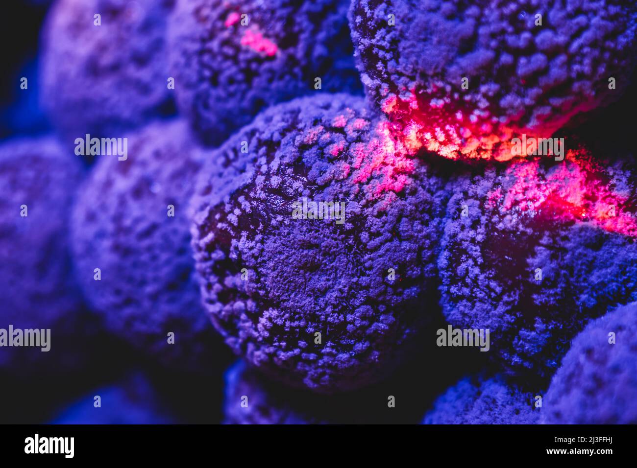 Mold cherry macro in purple light Stock Photo - Alamy