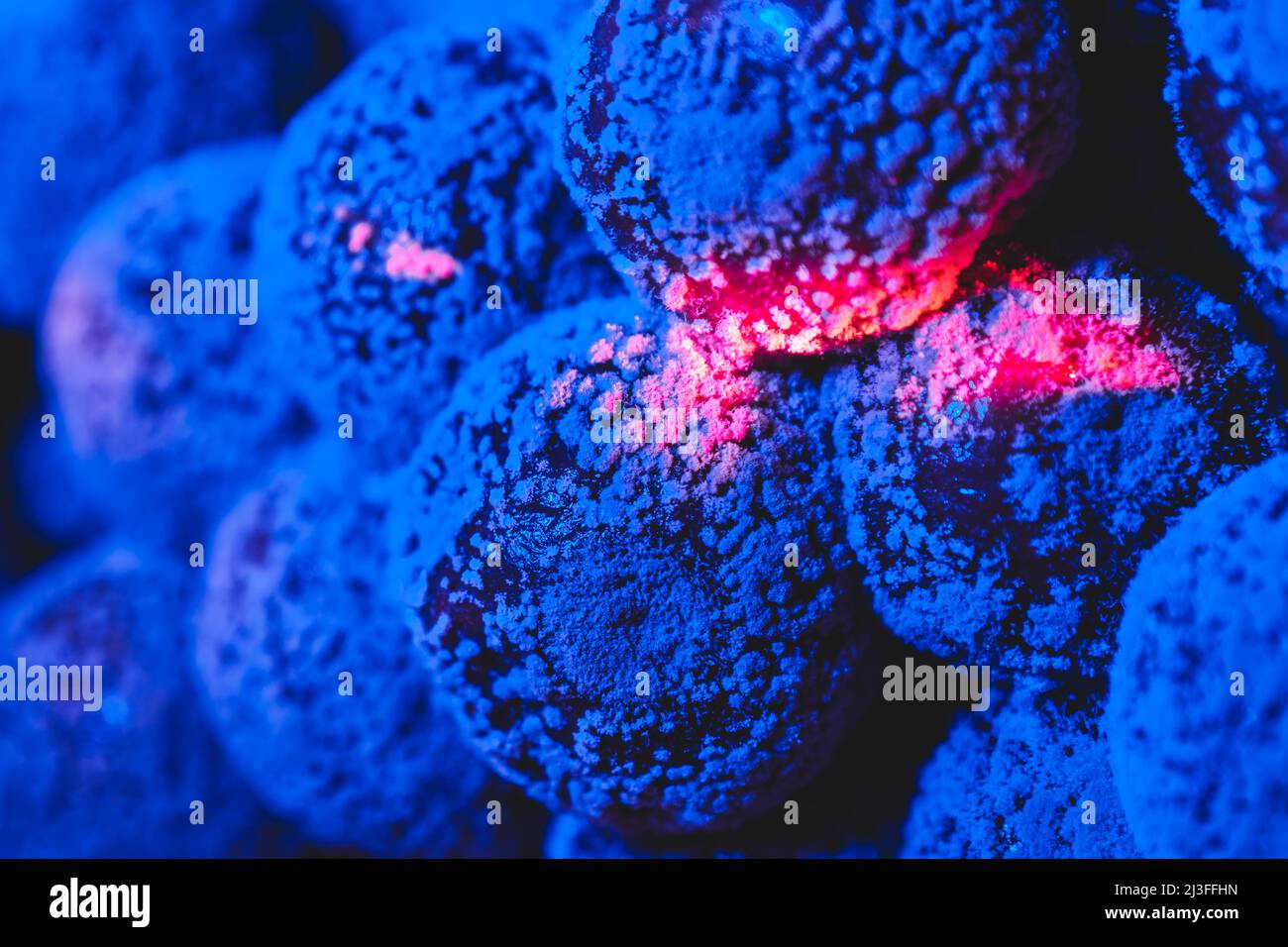 Mold cherry macro in blue light Stock Photo - Alamy