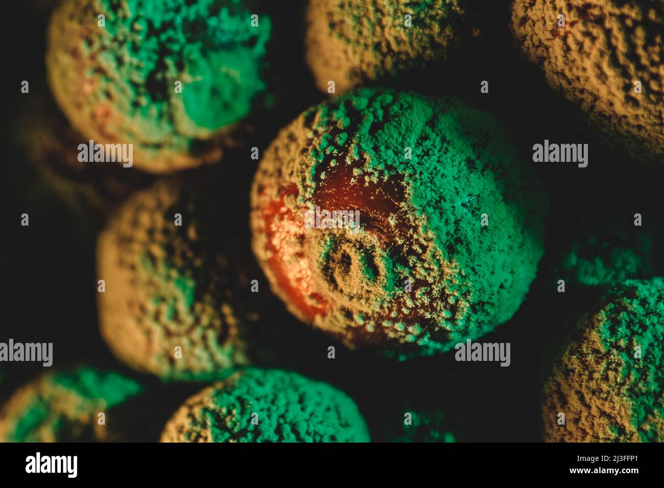 Mold cherry macro in green light Stock Photo - Alamy