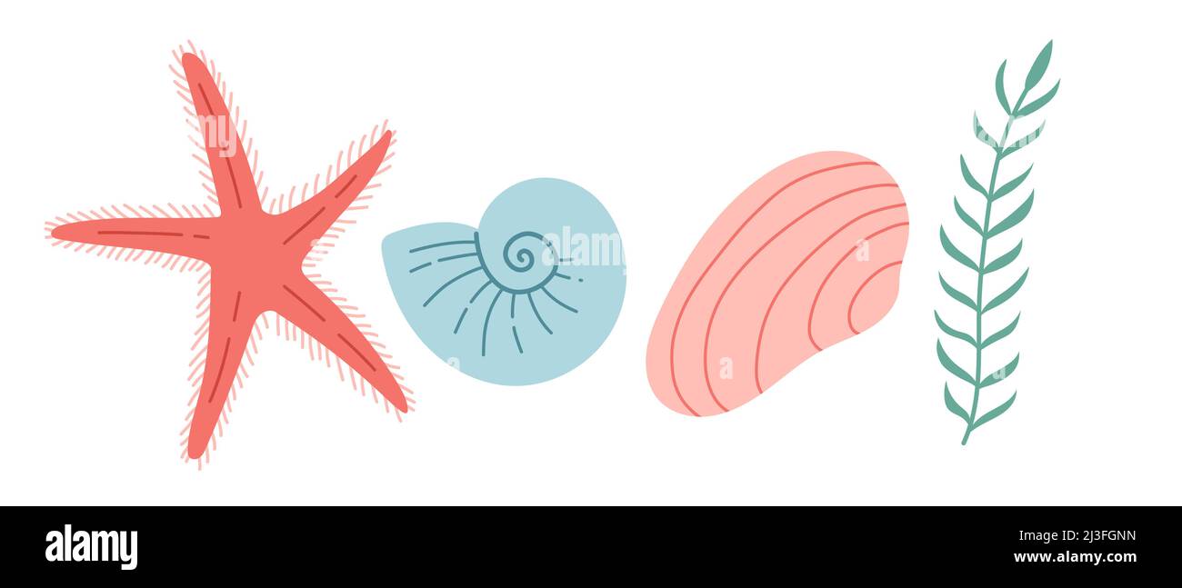 Seshell coral vector, simple color, flat design Stock Vector Image ...