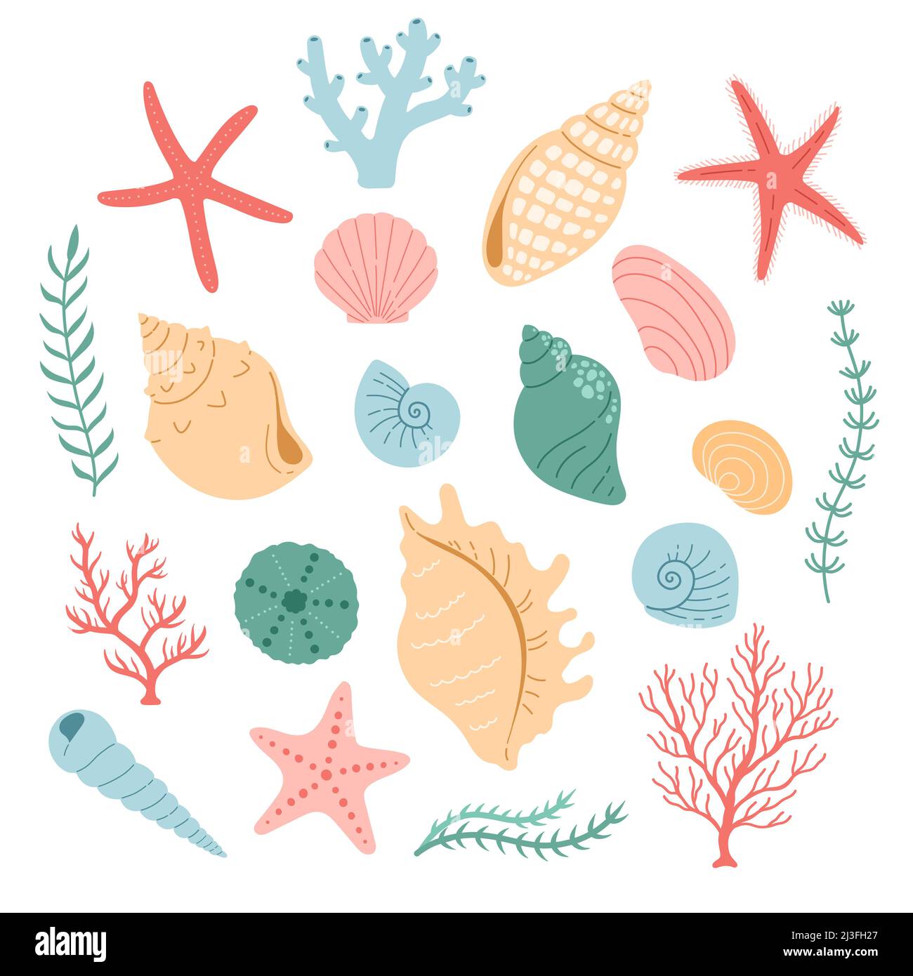 Seshell coral vector, simple color, flat design Stock Vector Image ...