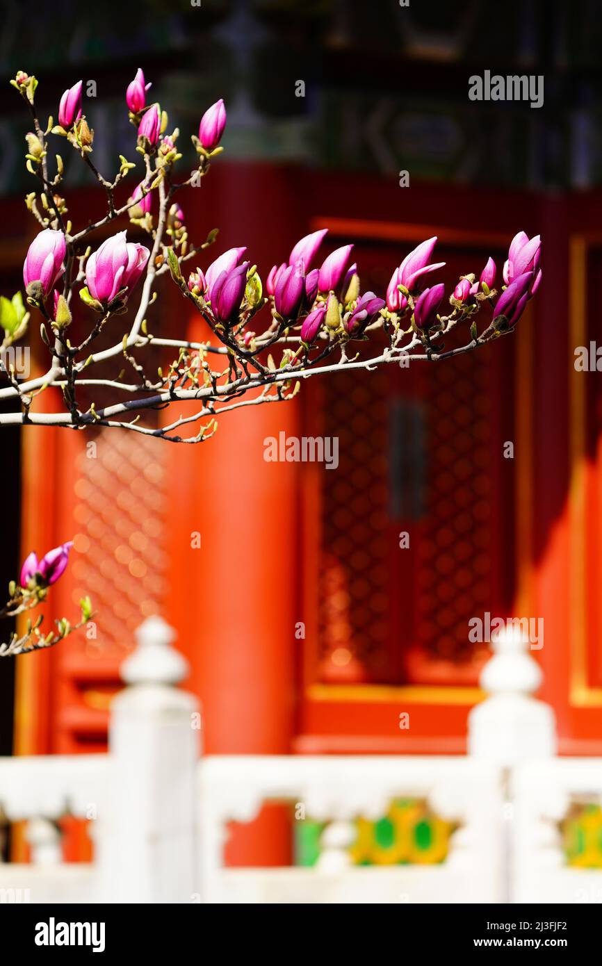 Beijing, Beijing, China. 8th Apr, 2022. On April 7, 2022, in Beijing ...