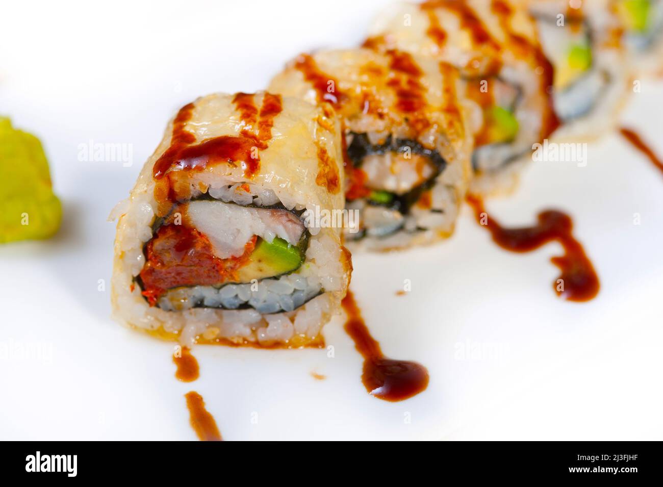 macro closeup of fresh sushi choice combination assortment selection ...