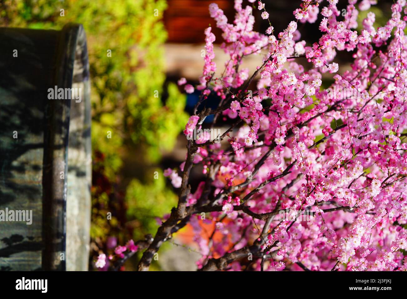 Beijing, Beijing, China. 8th Apr, 2022. On April 7, 2022, in Beijing ...