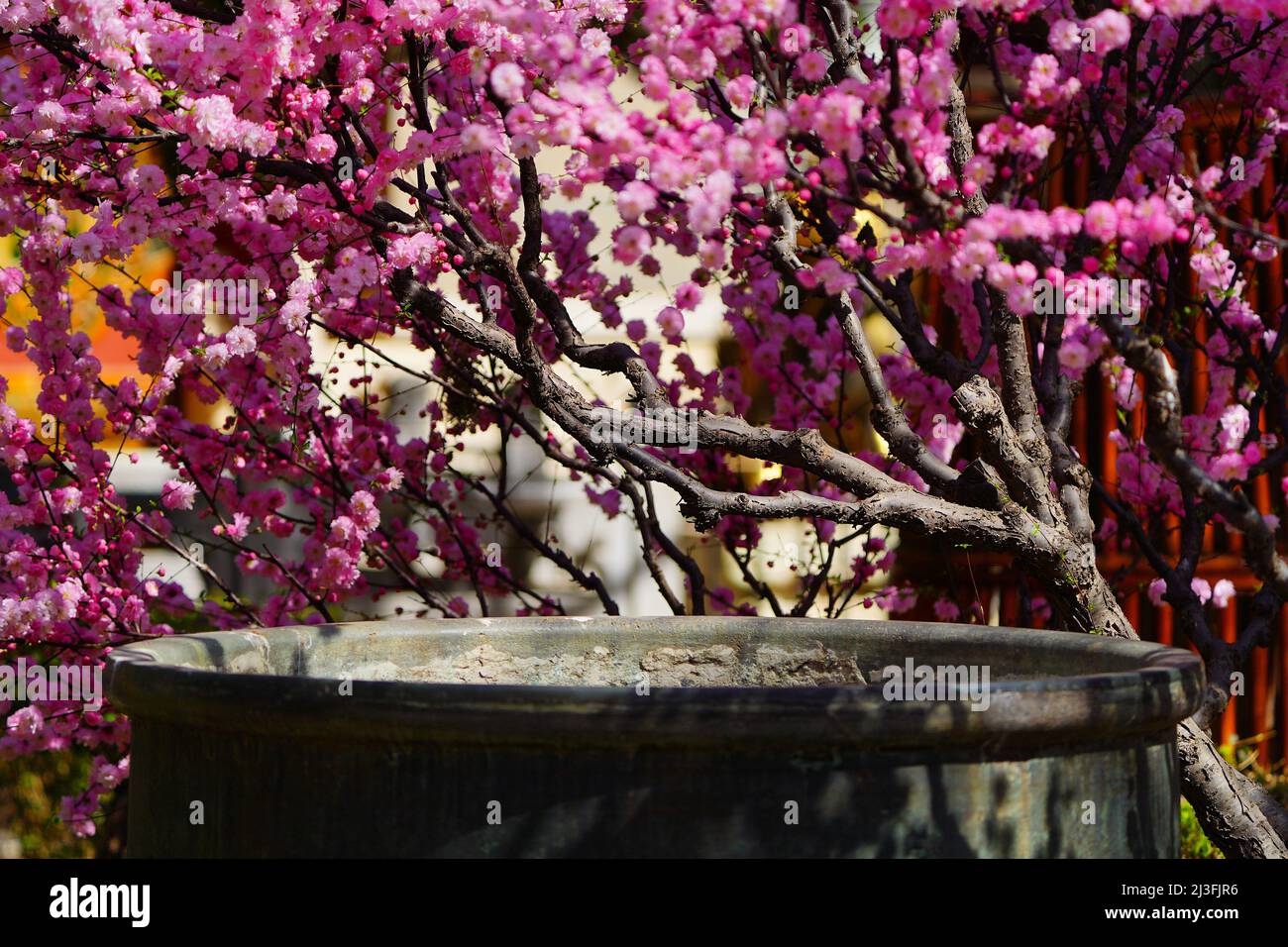 Beijing, Beijing, China. 8th Apr, 2022. On April 7, 2022, in Beijing ...